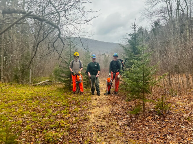 Campaign seeks to establish dedicated trail crew | News, Sports, Jobs ...